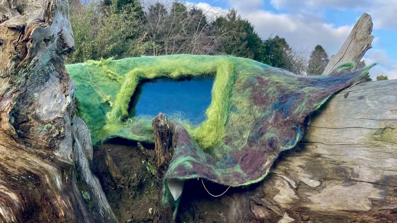 Gwen Stevenson | Immersive Art | Northern Ireland